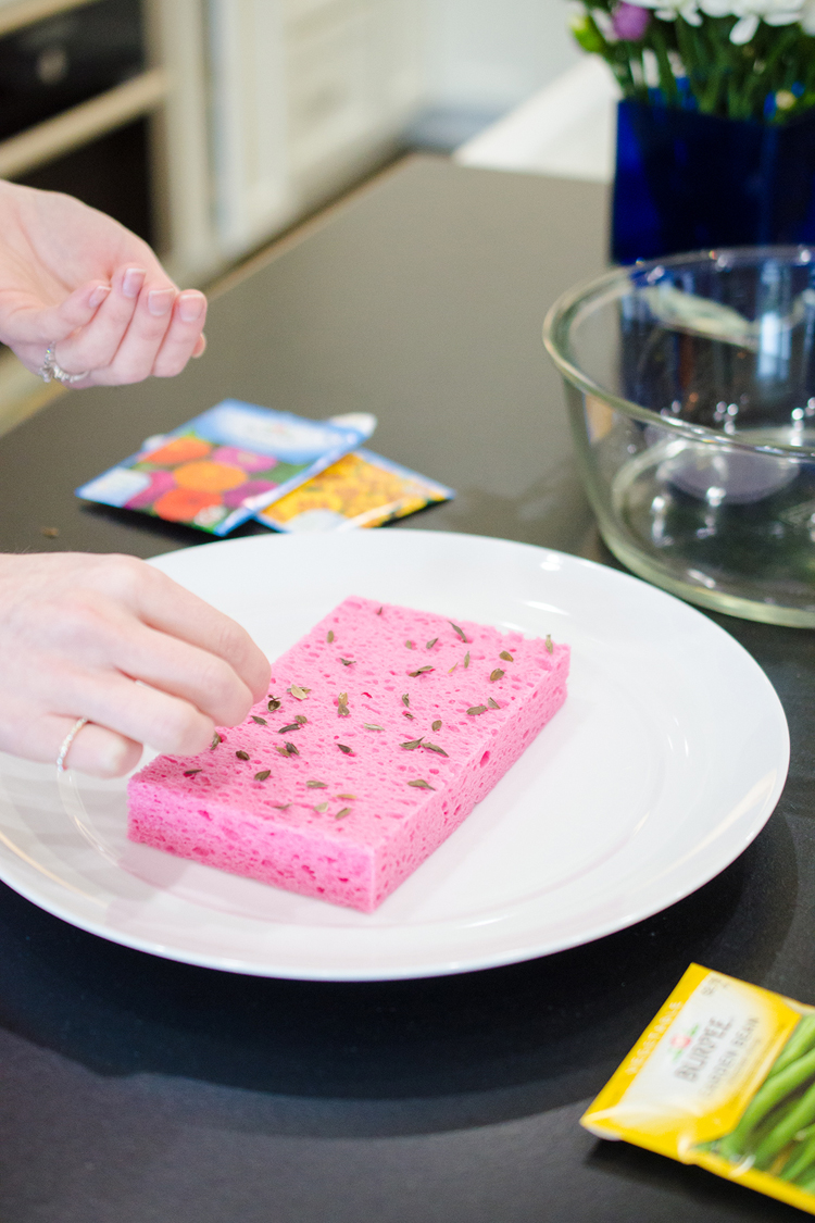 Creative Ways To Reuse Old Sponges