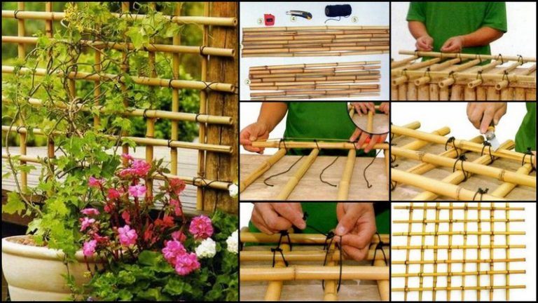 10 Ways To Use Bamboo Creatively In Your Garden
