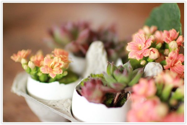 14 Ways To Decorate Your Home With Flowers