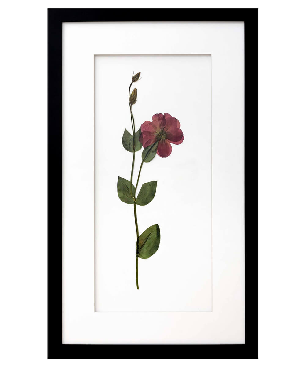 14 Ways To Decorate Your Home With Flowers