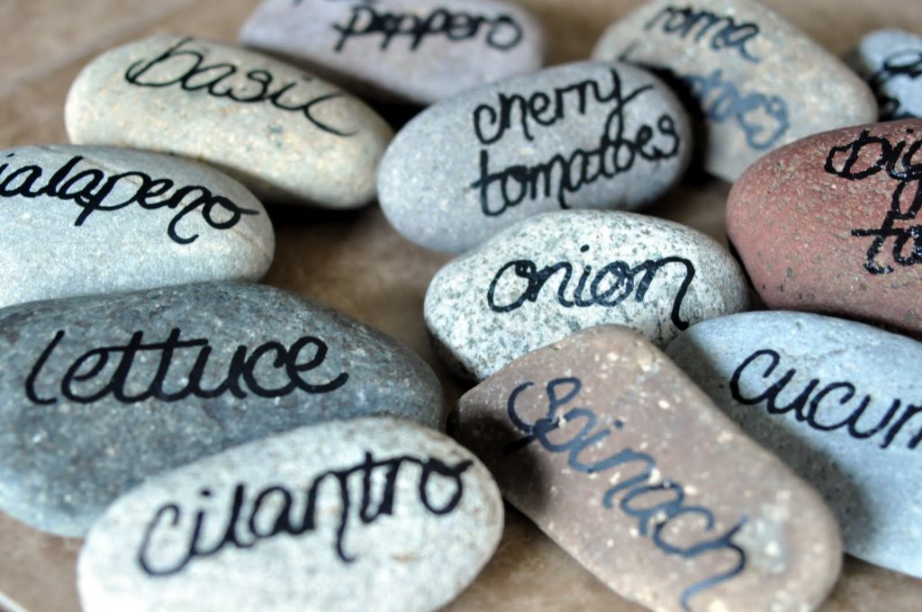 8 creative plant marker ideas that spice up your garden