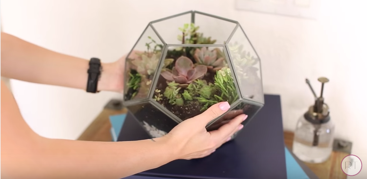 Learn How To Build Your Own Terrarium