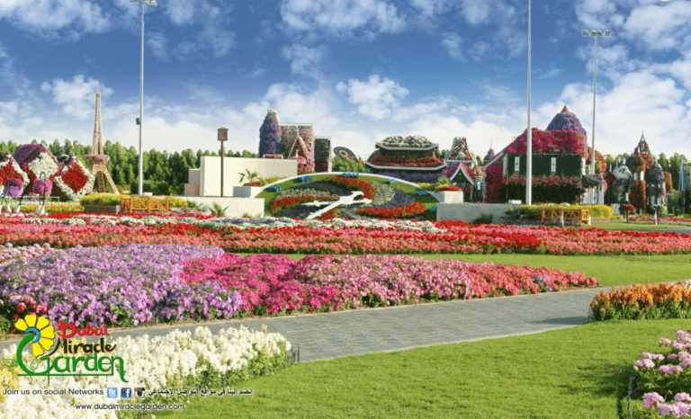 Take a tour through the Dubai Miracle Garden: there are over 100 ...