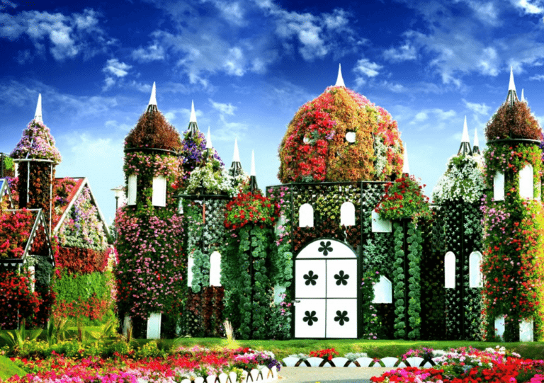 Take a tour through the Dubai Miracle Garden: there are over 100 ...