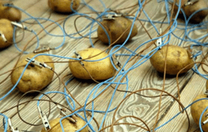 Here's how you can use a potato to light up your room for an entire month