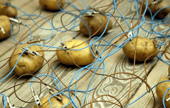 Here's how you can use a potato to light up your room for an entire month