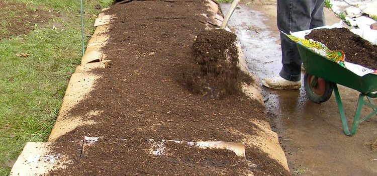 Use Cardboard To Prevent Weeds From Invading Your Garden