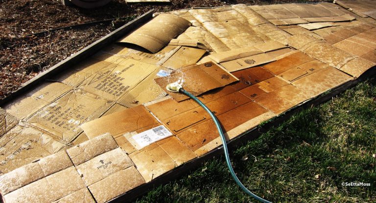 Use Cardboard To Prevent Weeds From Invading Your Garden