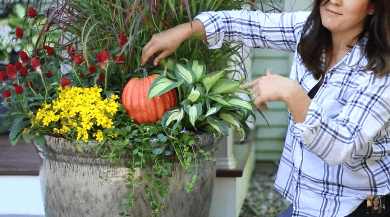 Learn how to make 2 gorgeous autumn-inspired containers for your home ...