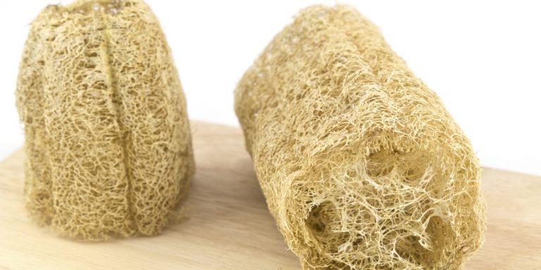 Scientists are warning everyone to toss their loofahs or risk illness ...
