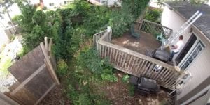 Timelapse video shows each step to take backyard from a messy jungle to ...
