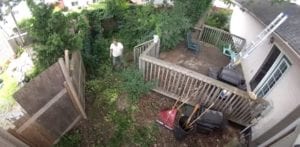 Timelapse video shows each step to take backyard from a messy jungle to ...