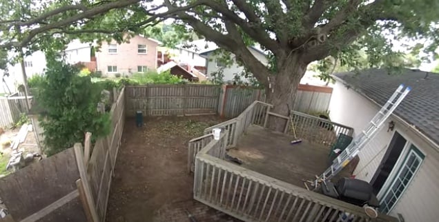 Timelapse video shows each step to take backyard from a messy jungle to ...