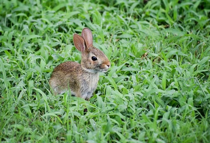 25 Brilliant ways to use old spices for more than cooking
