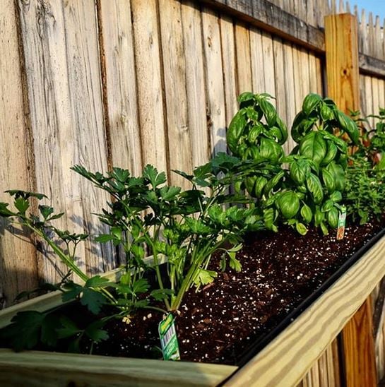 25 Brilliant ways to use old spices for more than cooking