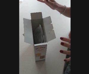 Woman loses her mind when she realizes she’s been closing cereal boxes ...