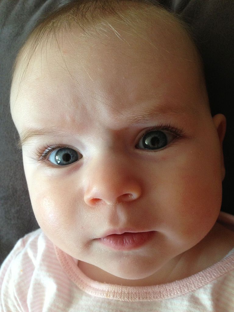 People had no idea ceiling fans have a switch for hot and cold