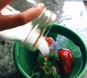 Woman demonstrates how saltwater makes tiny bugs come out of strawberries