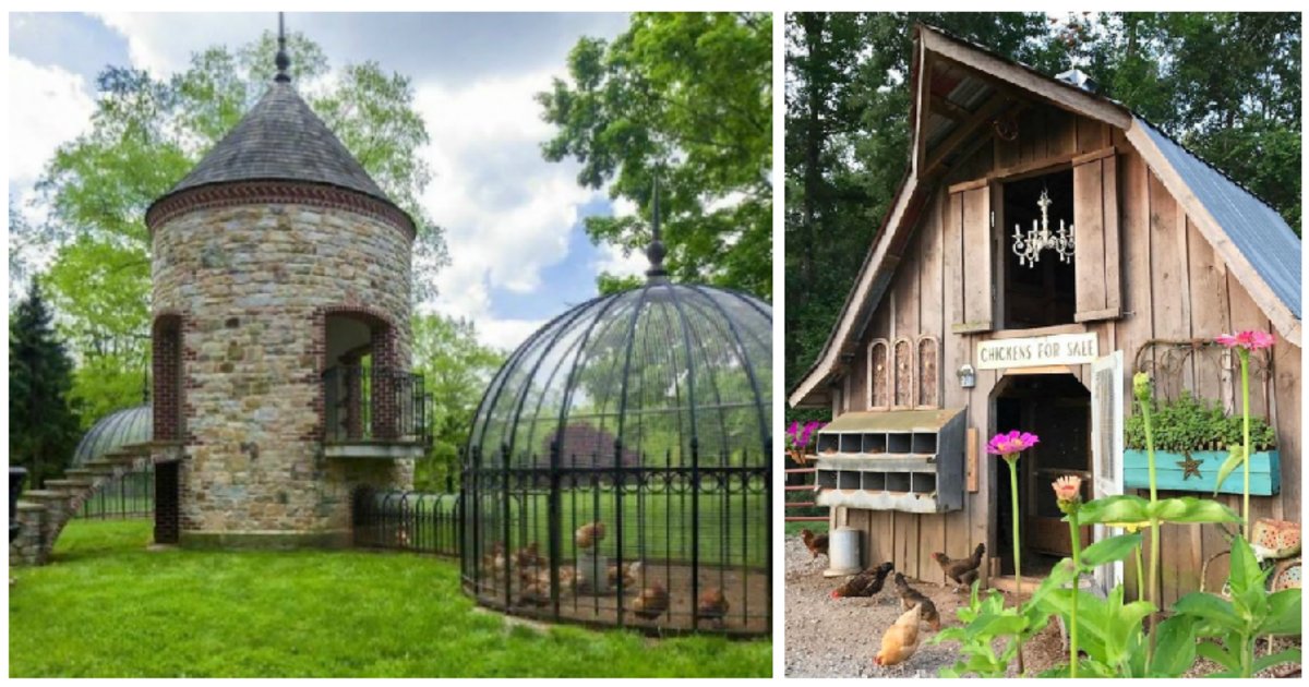 50 chicken coops that are completely hilariously creative