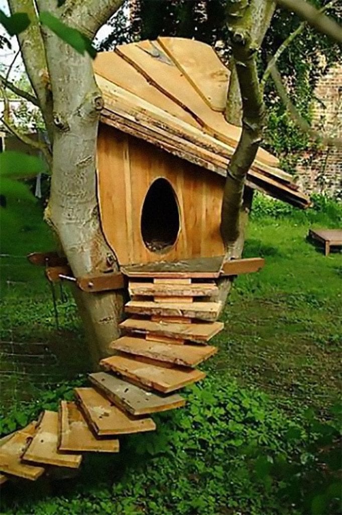 50 chicken coops that are completely hilariously creative