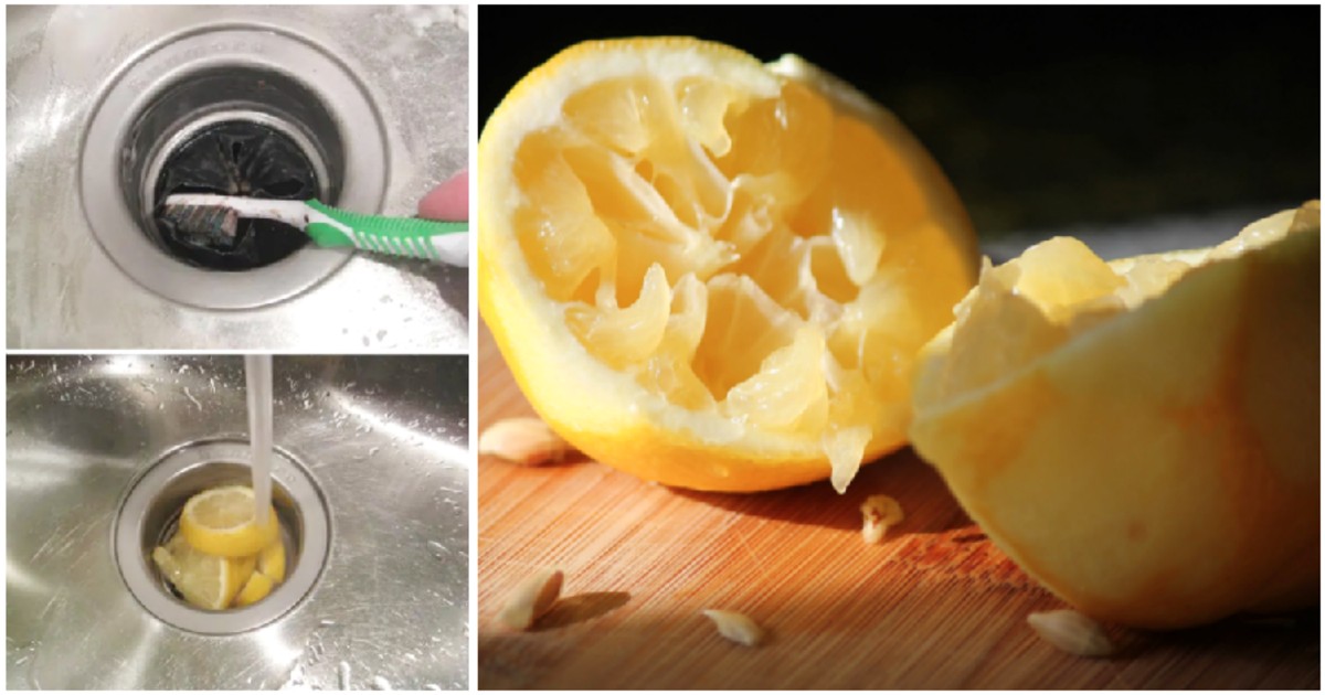 35 lemon uses everyone ought to know