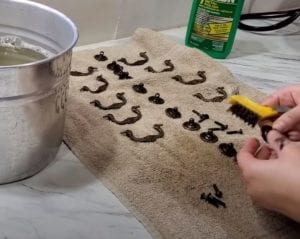 Woman Spends $5 To Turn Beat Up Desk Into Beautiful Piece