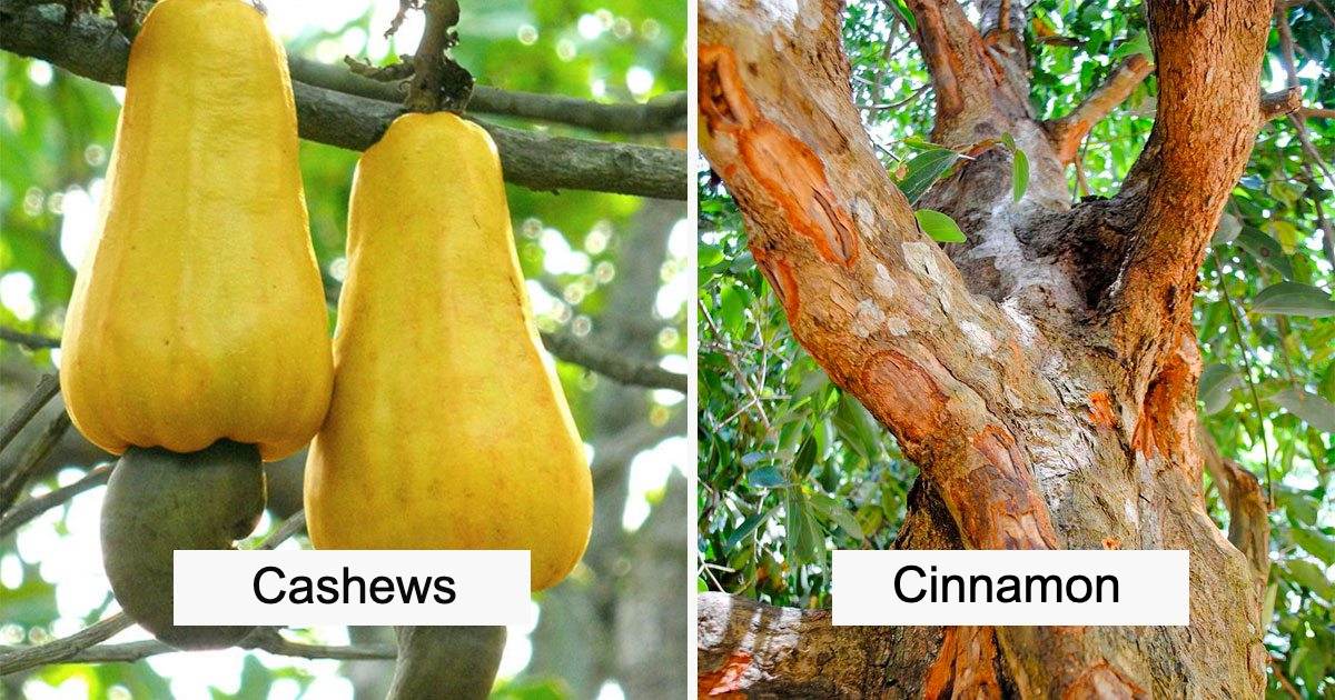 Here are 33+ stunning photos that prove you have no clue how popular ...