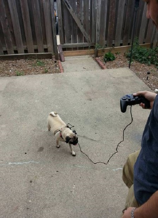 50 Problem Solvers Who Are Either Crazy Or Brilliant