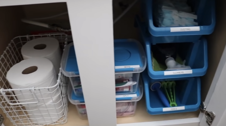 Organizing pro shares 10+ Dollar Tree secrets to help you stay organized
