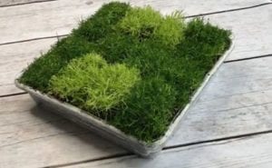 30 smart ways to reuse and upcycle old baking pans