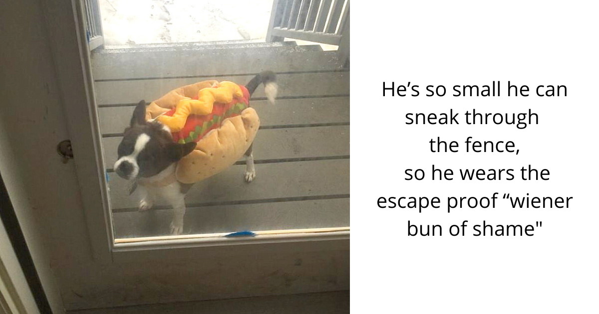 50 Funny Life Hacks Created By Hilarious Dads