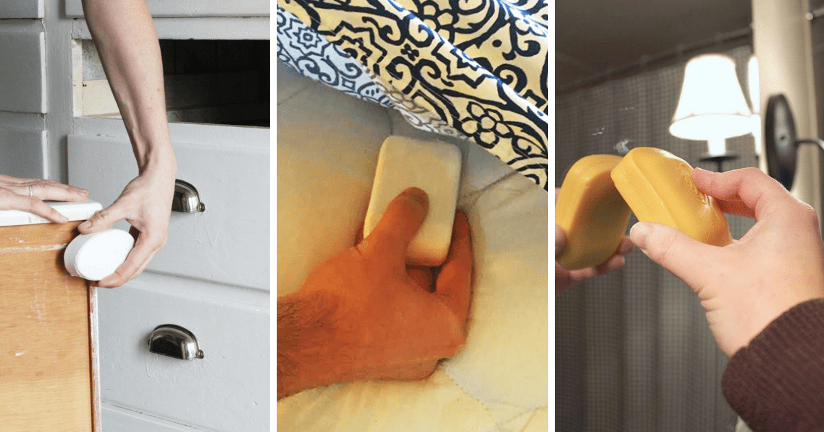 35 Amazing Tips You Will Love About Bars Of Soap