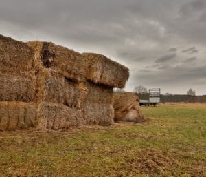 These DIY swimming pools made of hay bales are exactly what you need ...