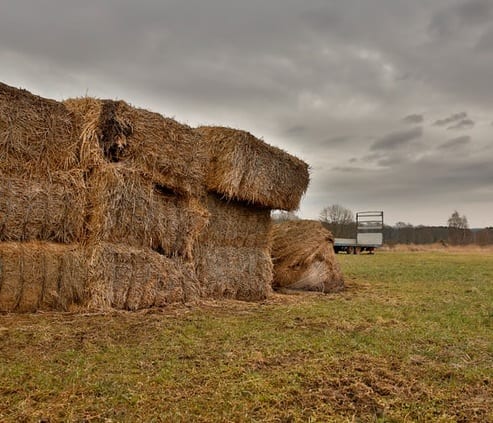 These DIY swimming pools made of hay bales are exactly what you need ...