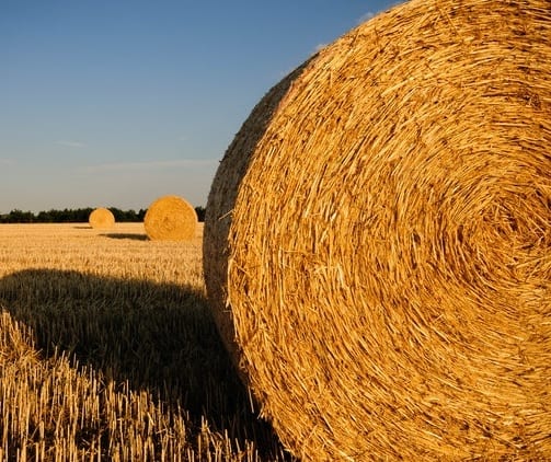 These DIY swimming pools made of hay bales are exactly what you need ...