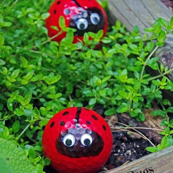 Upcycle old golf balls into adorable ladybugs for your garden
