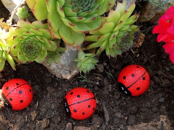 Upcycle old golf balls into adorable ladybugs for your garden