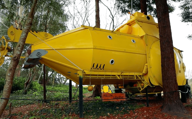 Couple lives in 'submarine' tiny home with seriously impressive interior
