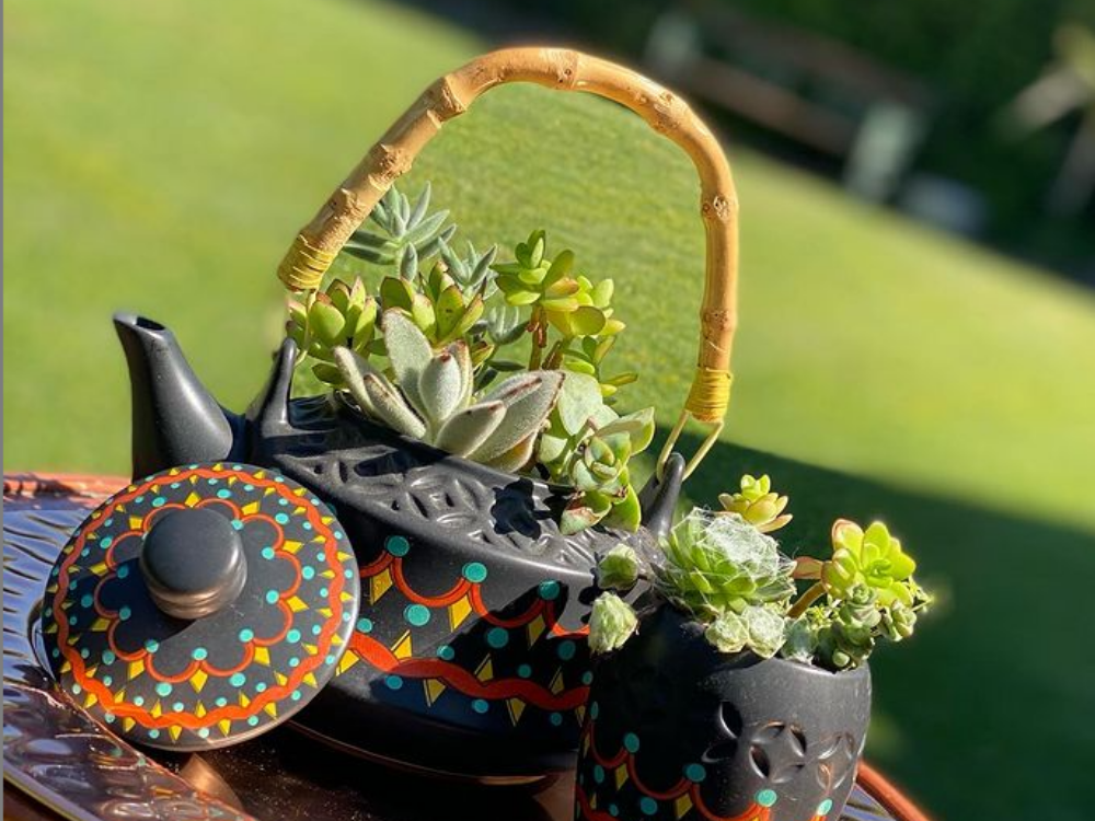Teacup gardens are a thing and we're here for this adorable trend