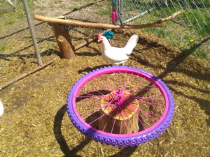 People are upcycling old bike tires into merry-go-rounds for their chickens