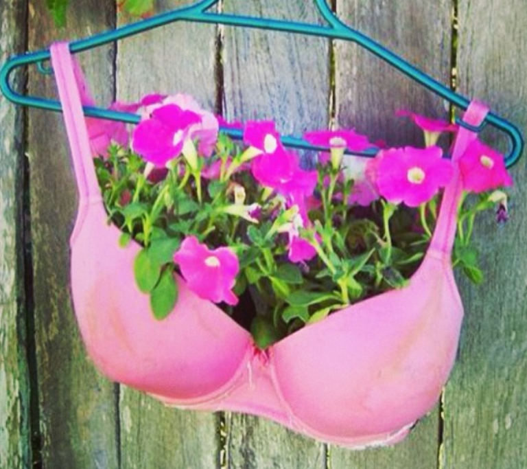 People are upcycling old bras into planters to give their flowers a “boost”
