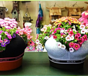 People are upcycling old bras into planters to give their flowers a “boost”