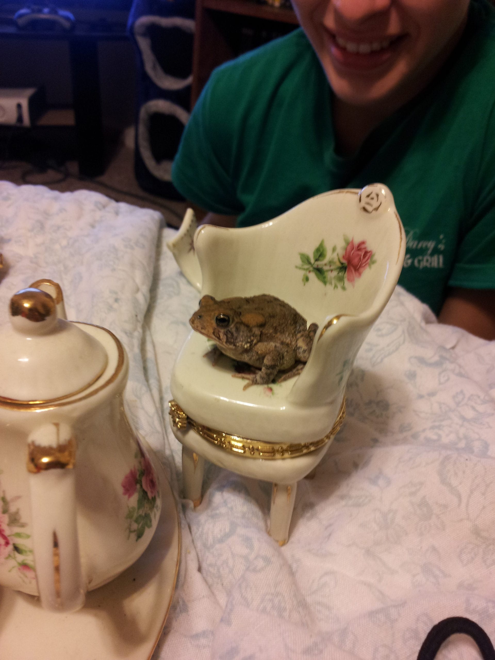 30 bizarre, funny, and crazy things people have woken up to