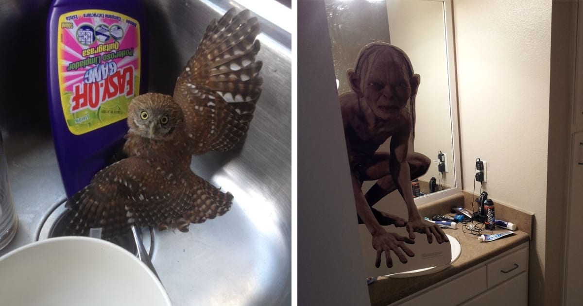 30 bizarre, funny, and crazy things people have woken up to