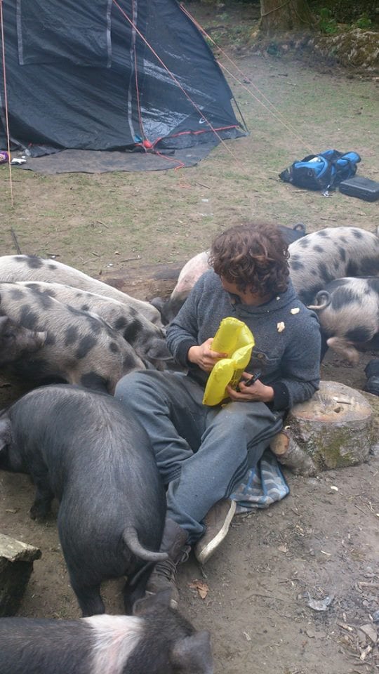 30 bizarre, funny, and crazy things people have woken up to