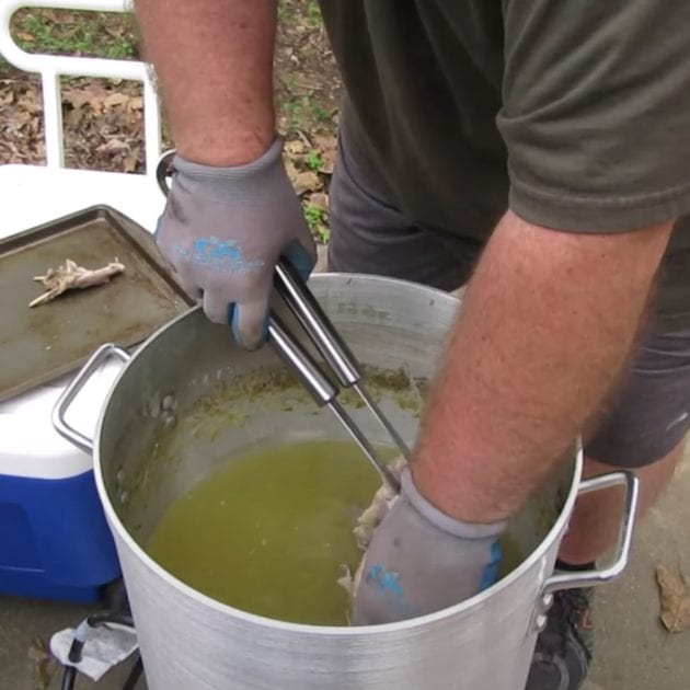 'Creamed Possum' is the classic southern dish you never knew you needed