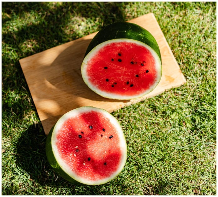 Grow watermelons vertically with these DIY fruit hammocks