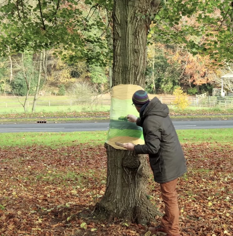 Man wraps plastic wrap around a tree for a mind-bending art illusion