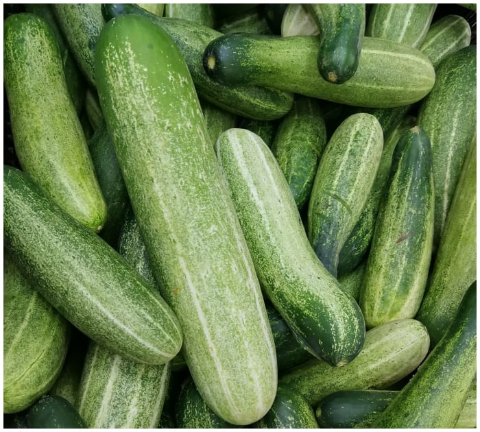 Grow cucumbers vertically the right way with these six key steps