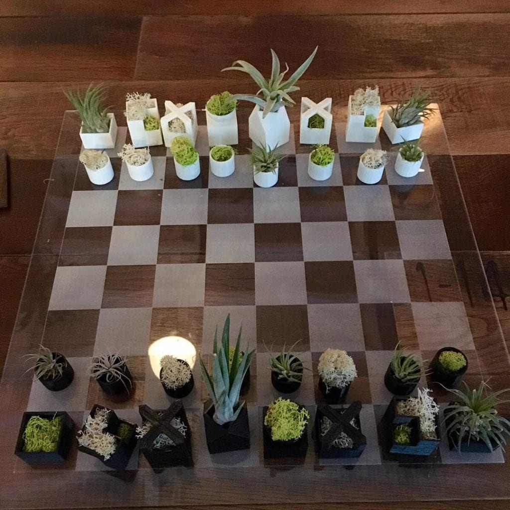 People are leveling up their chess game by turning house plants into ...